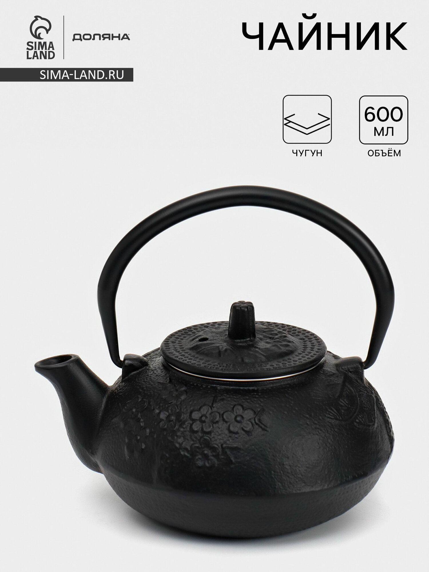 Чайник, 600 мл, с ситом, эмалированное покрытие внутри, чугун, чёрный