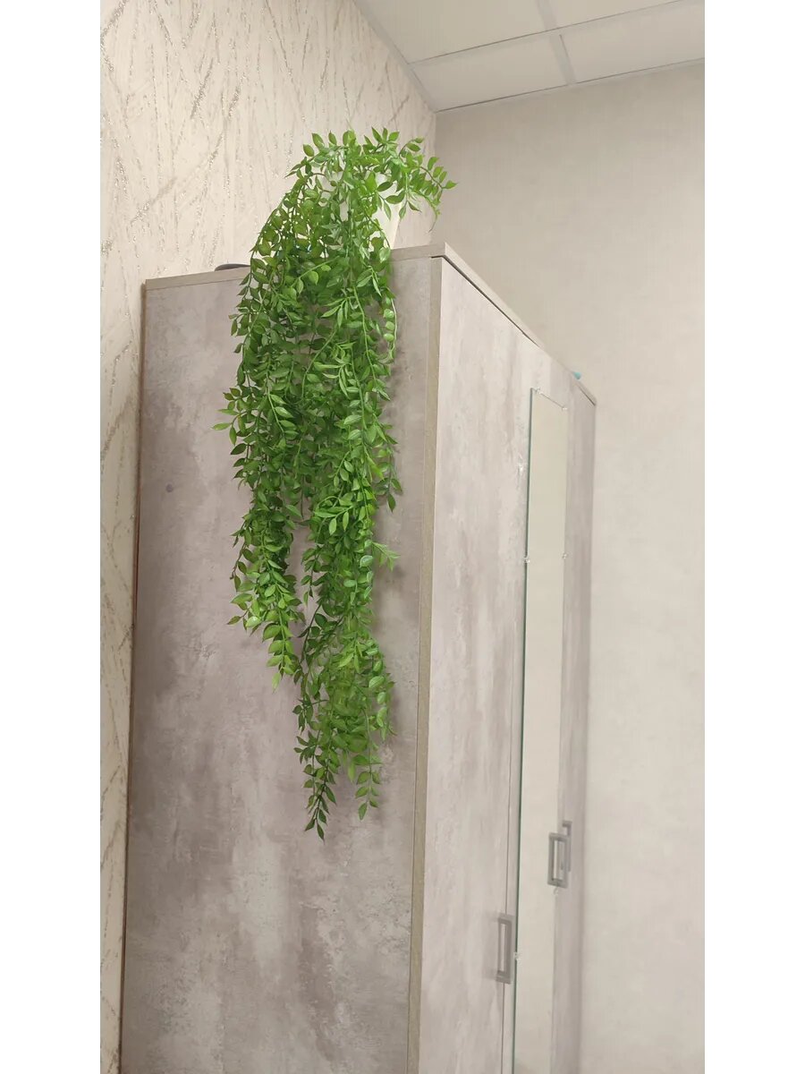 Рускус искусственный ампельный в кашпо