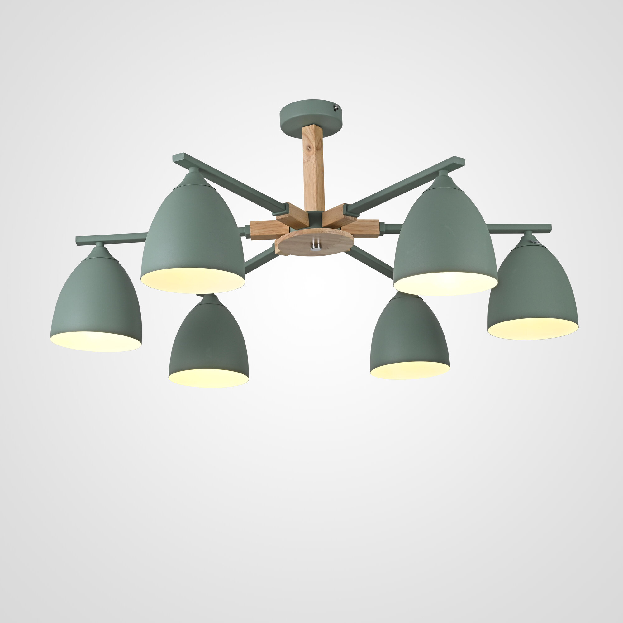 Потолочная люстра NOA 6 Mint
