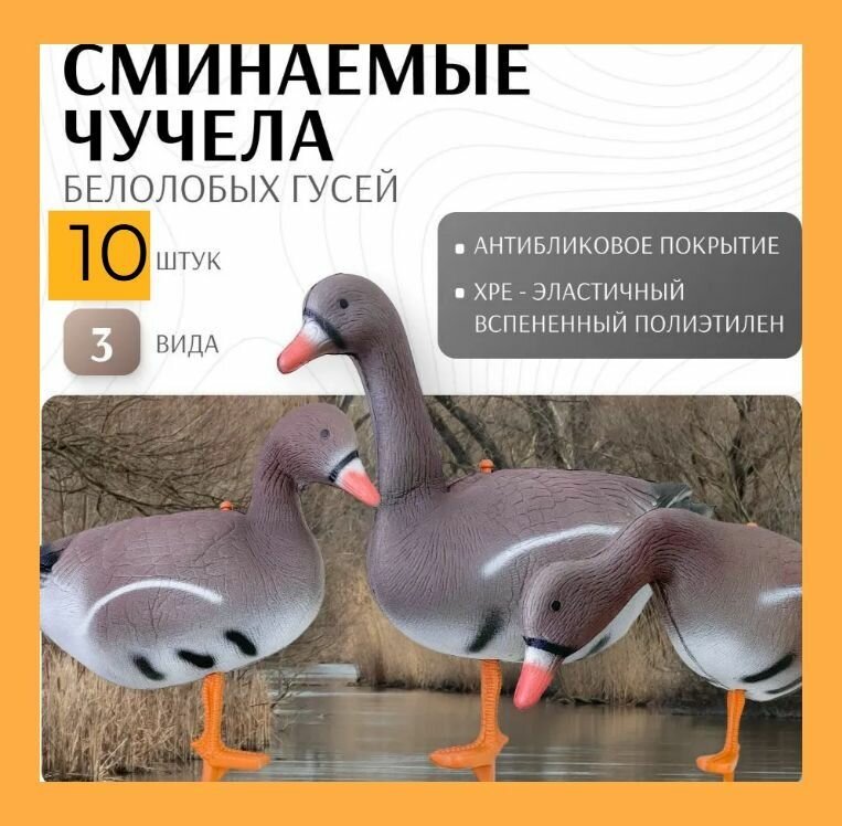 Чучела Гусей Гуменник, Белолобых 10 шт, чучела гусей для охоты, на ножке, сминаемые, XPE, Белолобый Гусь, Гуменник