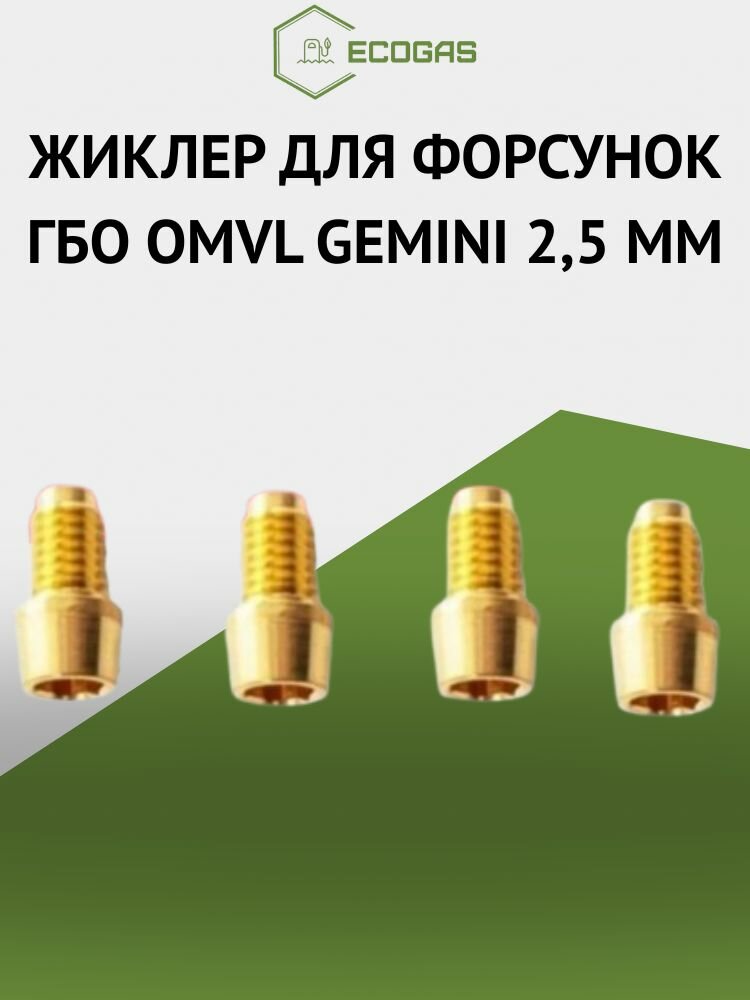 Жиклер для форсунок ГБО OMVL Gemini 2,5 мм (4 штуки)