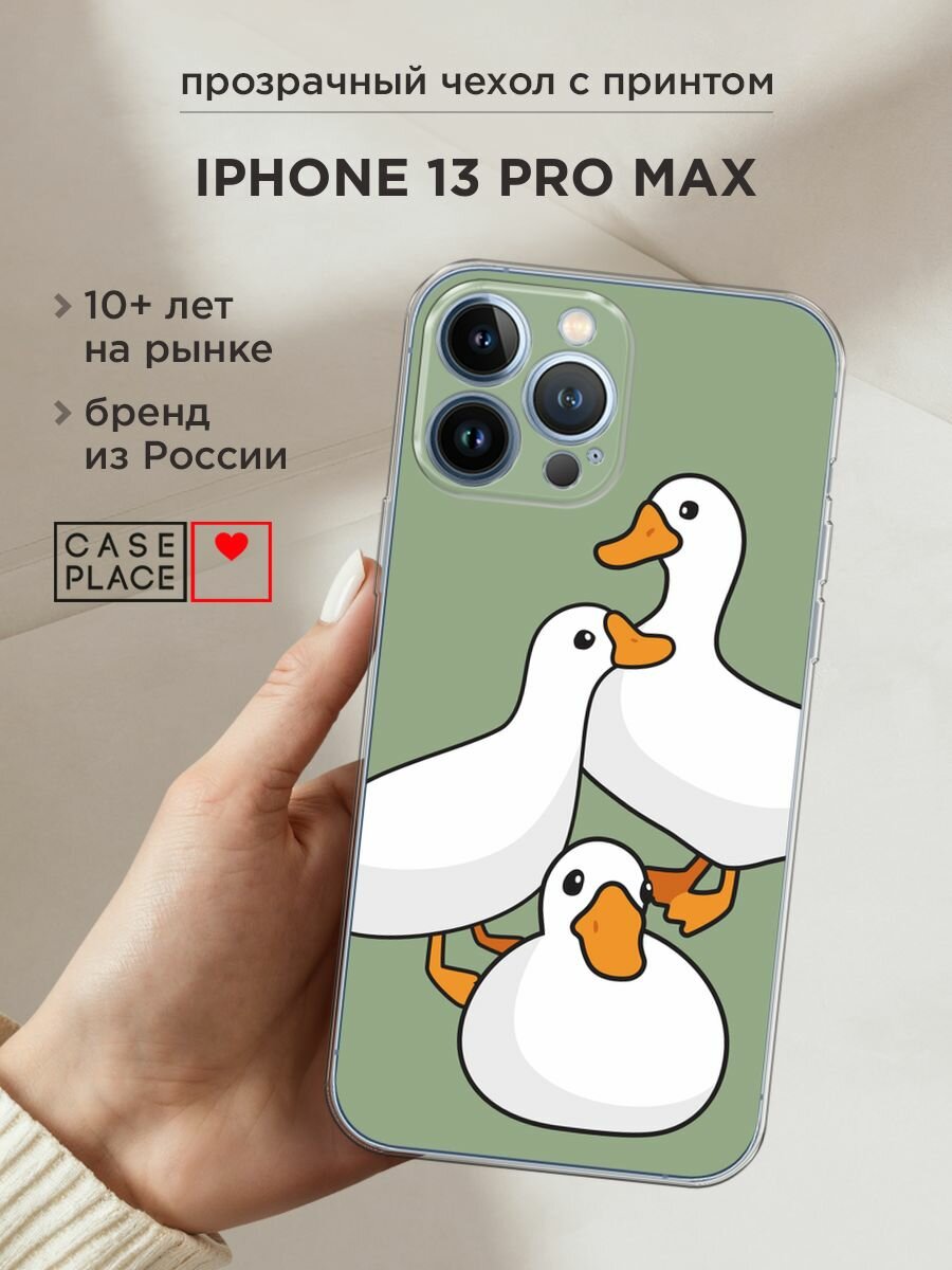 Чехол на Apple iPhone 13 Pro Max / Айфон 13 Про Макс с принтом "Утиное трио"