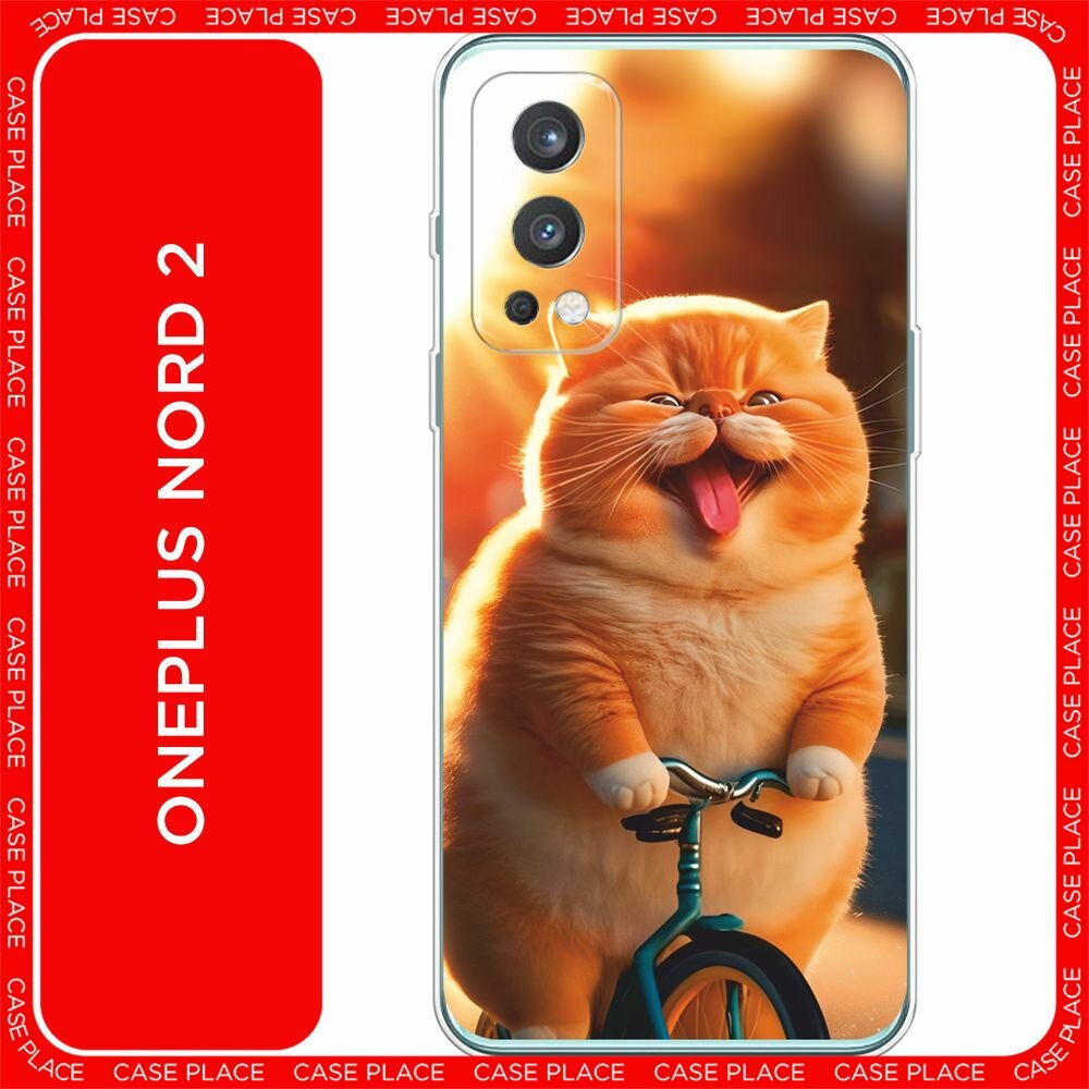 Чехол на OnePlus Nord 2 / ВанПлас Норд 2 с принтом "Кот на велике"