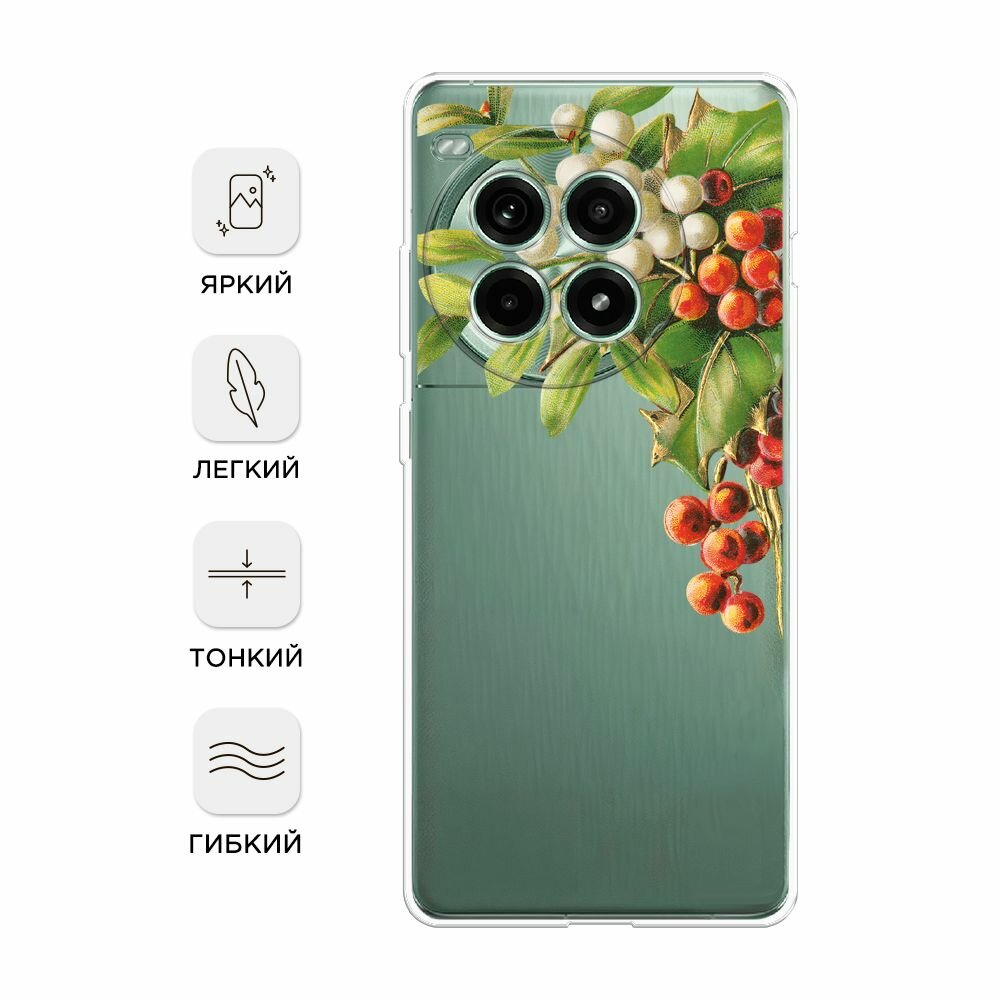 Чехол на OnePlus Ace 3 Pro / Ван Плас Эйс 3 Про с принтом Омела, прозрачный — фото 1
