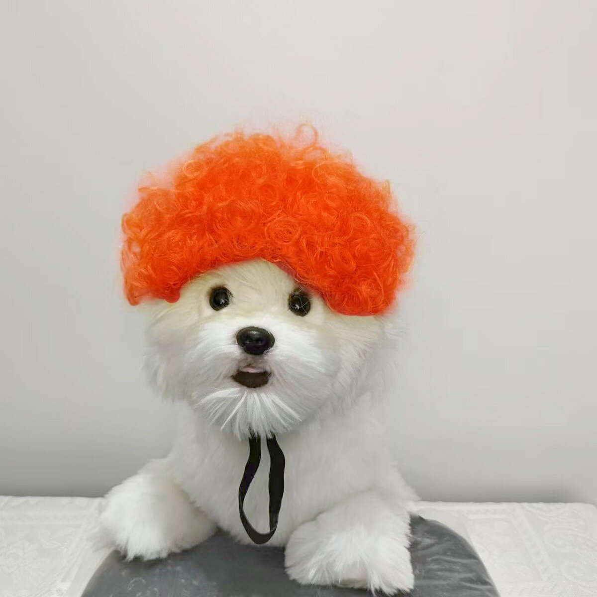 Парики для домашних животных, парики для собак, товары для домашних животных, парики для домашних животных