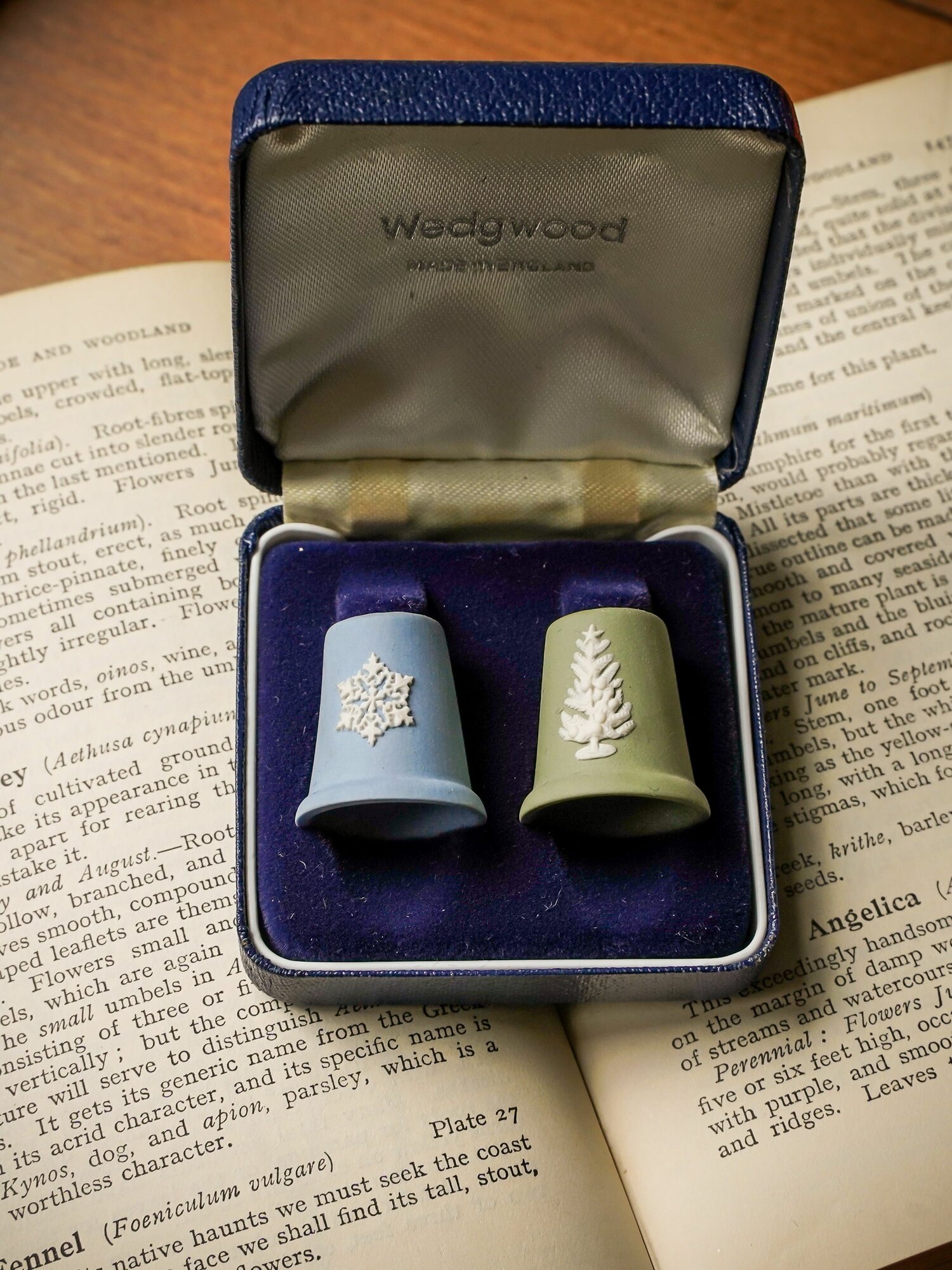 Наперстки Wedgwood, Рождество, Англия, 1981 год