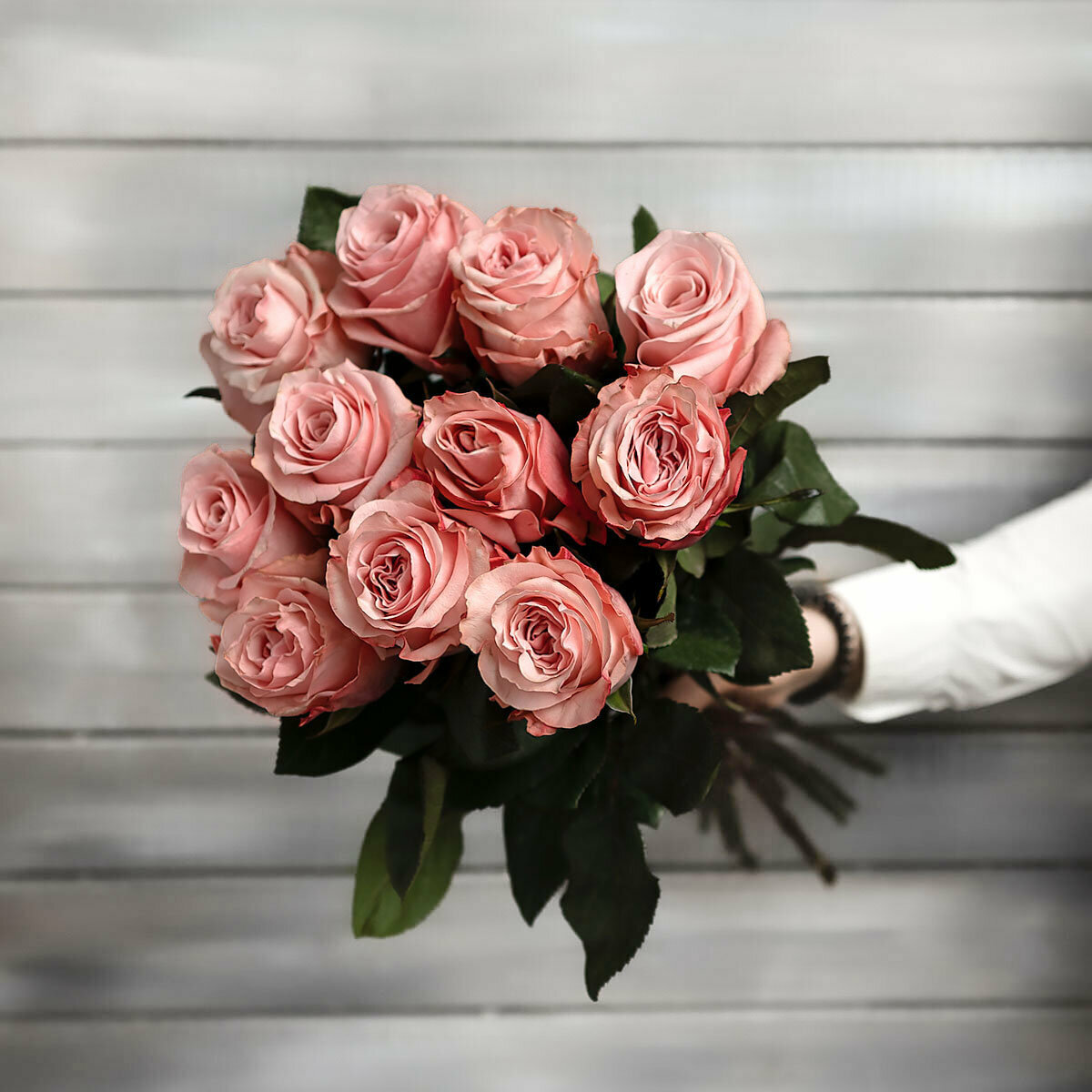 11 розовых роз Эквадор 50 см