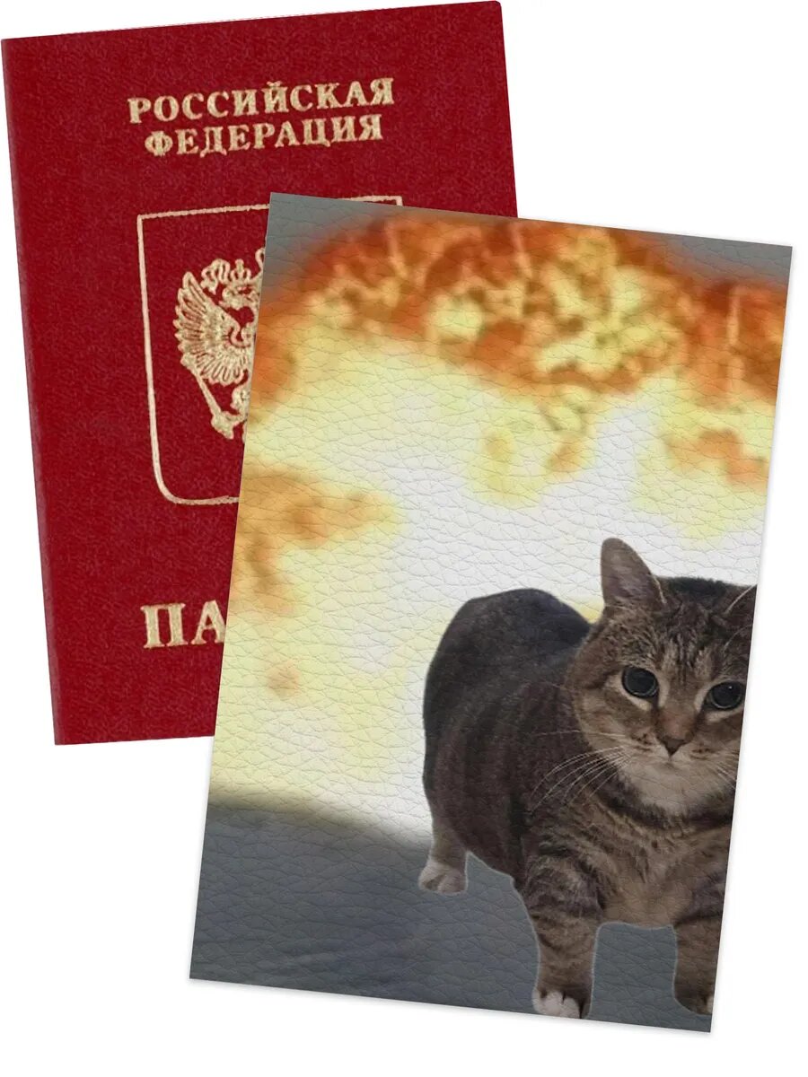 Обложка для паспорта