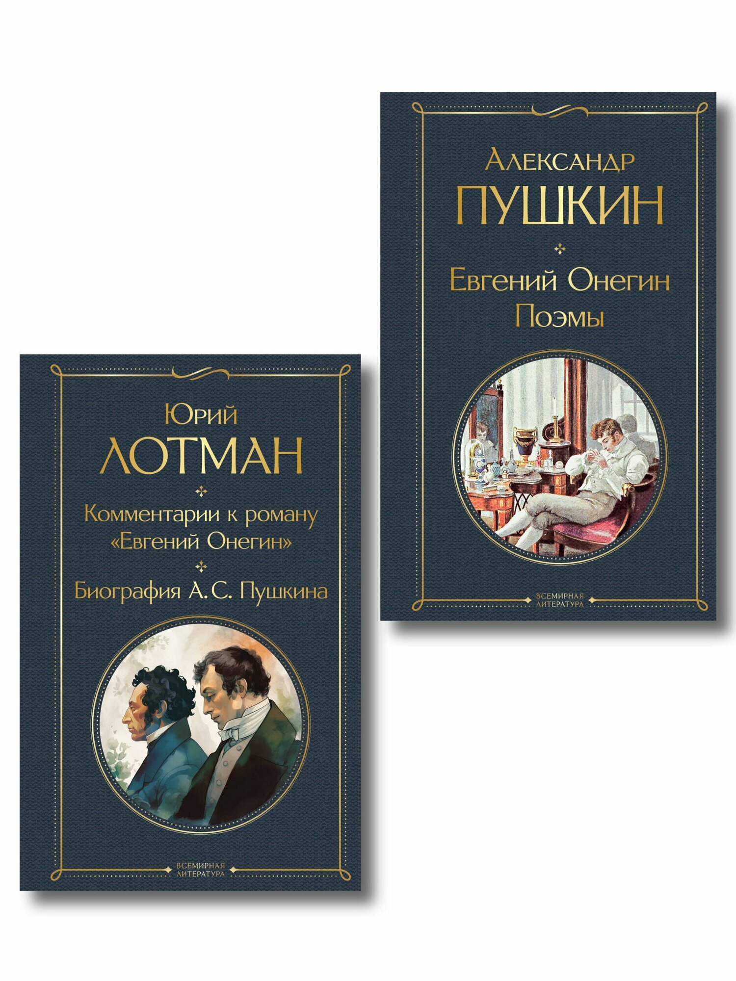 Расшифрованный Евгений Онегин (набор из 2 книг: Евгений Онегин, Комментарии к роману «Евгений Онегин». Биография А. С. Пушкина)