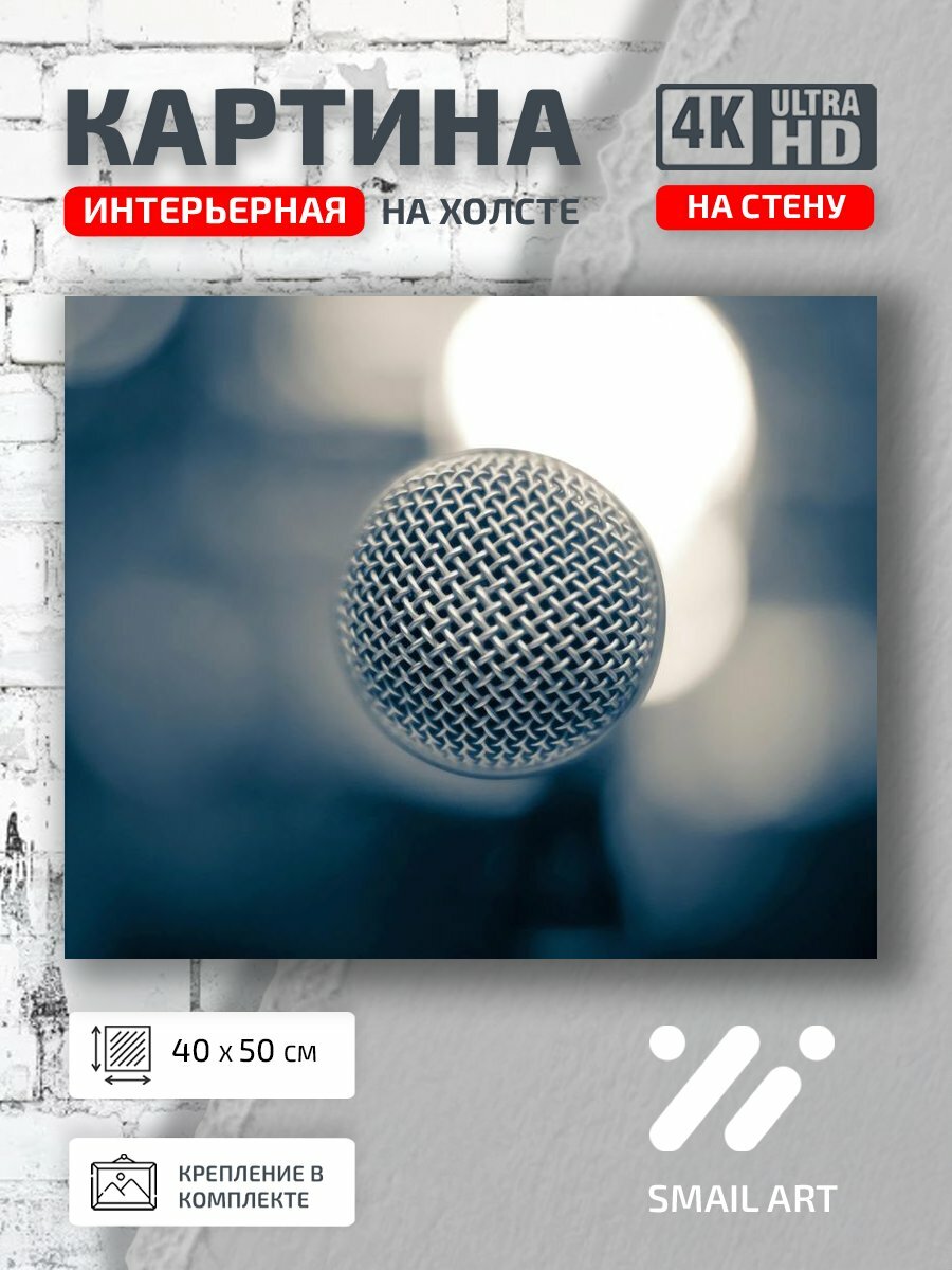 Картина на холсте интерьерная 40 на 50 на стену Микрофон Mood для кабинета атмосфера декор