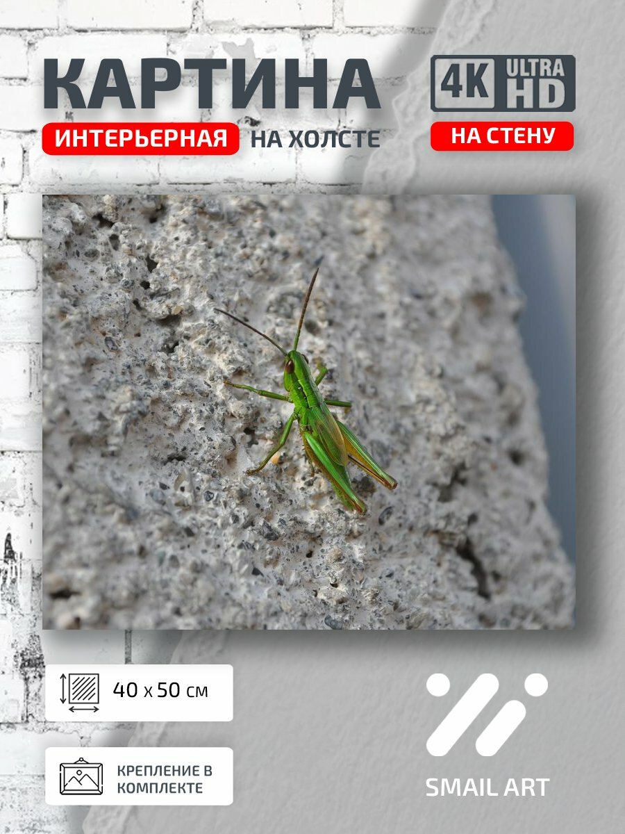 Картина на холсте интерьерная 40 на 50 на стену Камне Mood для офиса атмосфера интерьер