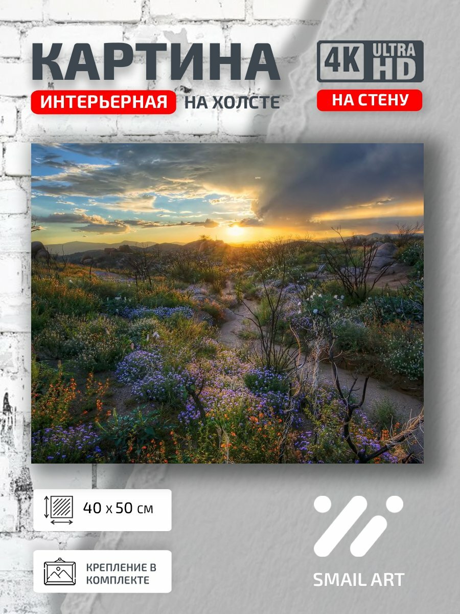 Картина на холсте интерьерная 40 на 50 на стену Закате Landscape для гостиной пейзаж декор