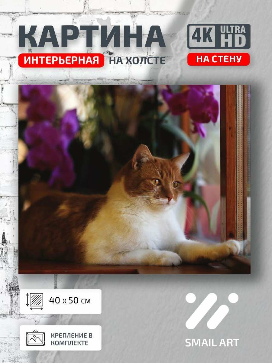Картина на холсте интерьерная 40 на 50 на стену Рыжий Animal для кафе animal style интерьер