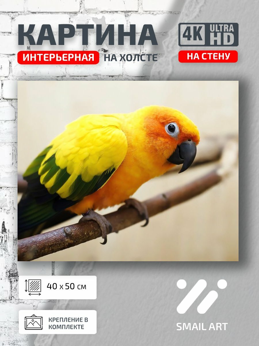 Картина на холсте интерьерная 40 на 50 на стену Попугай Landscape для кафе пейзаж интерьер