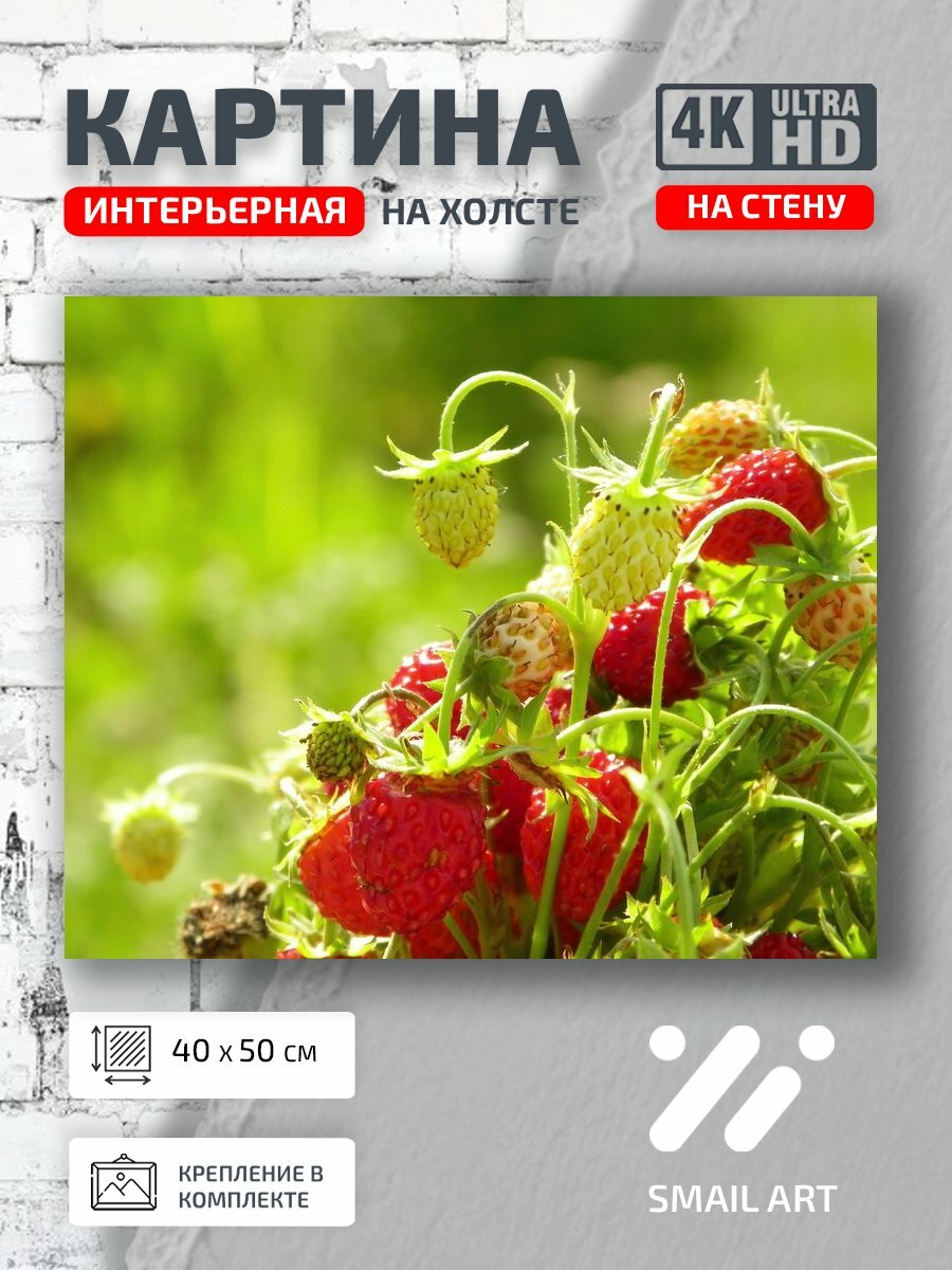 Картина на холсте интерьерная 40 на 50 на стену Трава Food для кафе кулинария интерьер