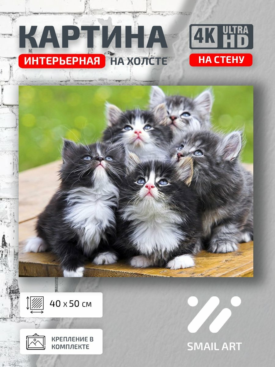 Картина на холсте интерьерная 40 на 50 на стену Коты Landscape для спальни пейзаж интерьер