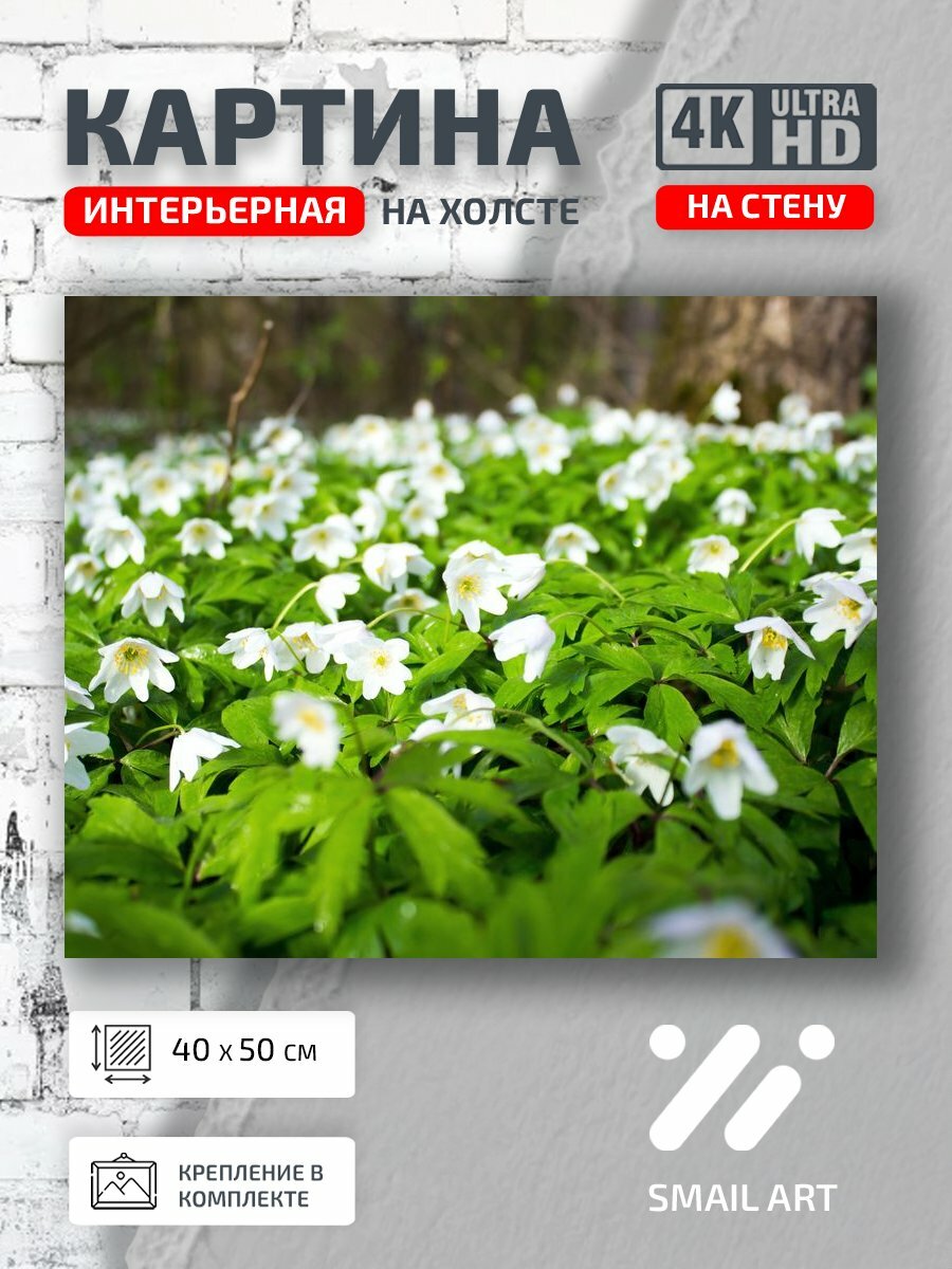 Картина на холсте интерьерная 40 на 50 на стену Подснежники Mood для студии атмосфера декор