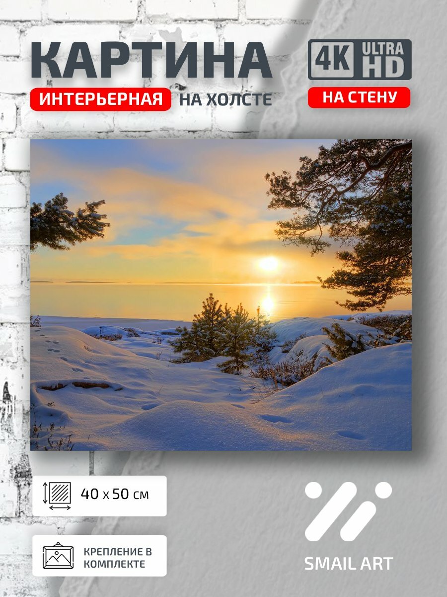Картина на холсте интерьерная 40 на 50 на стену Зима Landscape для офиса пейзаж интерьер