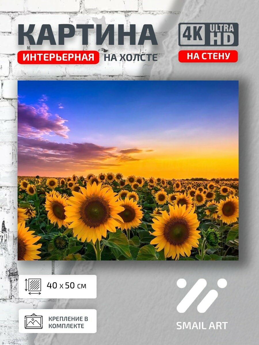 Картина на холсте интерьерная 40 на 50 на стену Пейзаж подсолнухи для офиса атмосфера