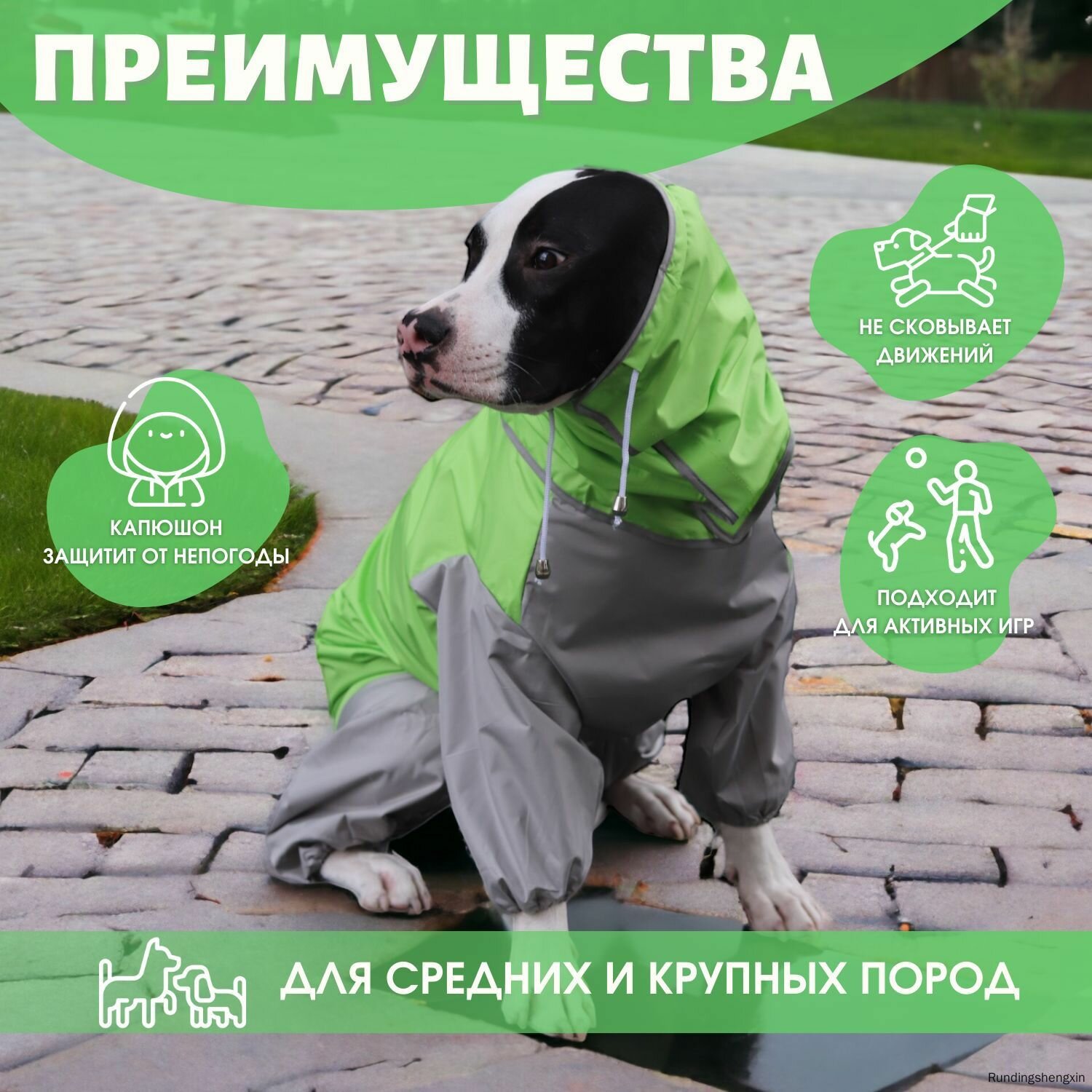 Одежда для животных — фото 1