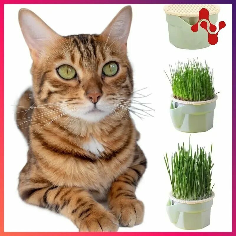Горшок для выращивания травы для домашних кошек, 4 упаковки кошачьей травы