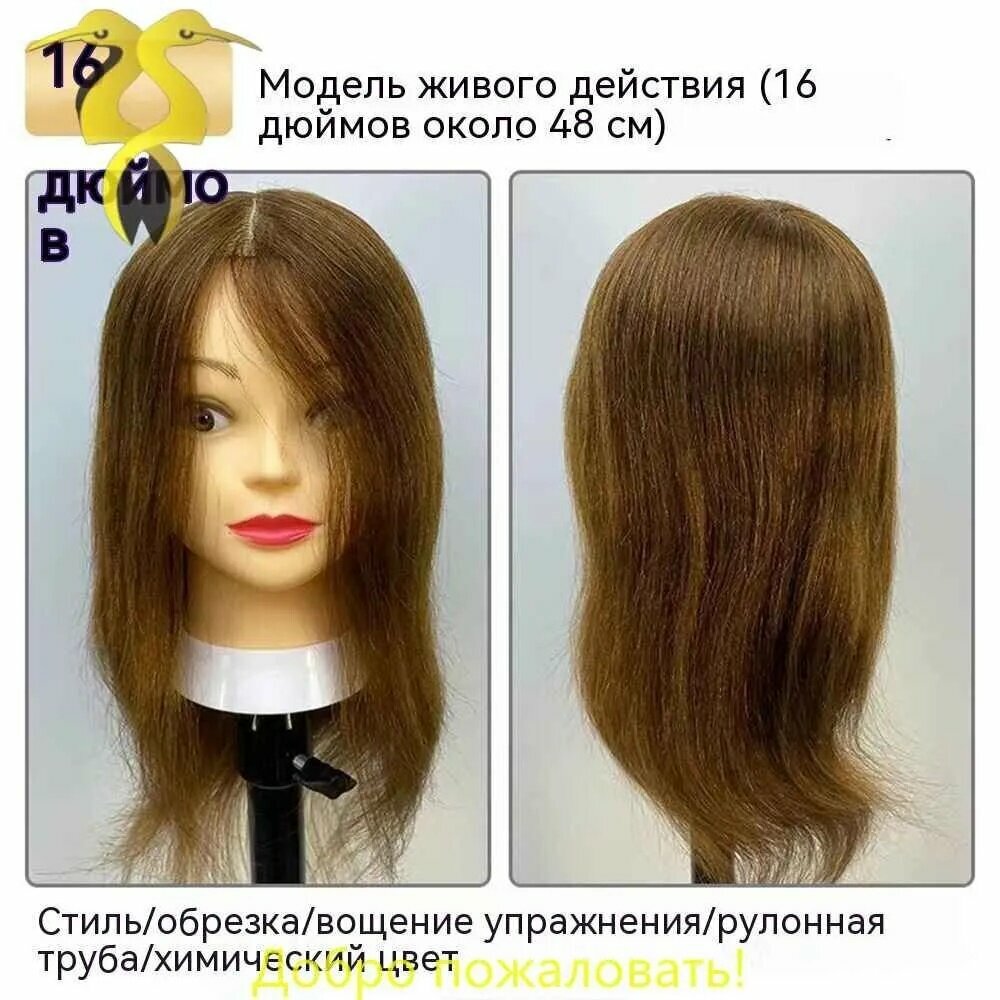 Голова манекен для причесок учебная парикмахерская 100% человеческий волос, 38-45см