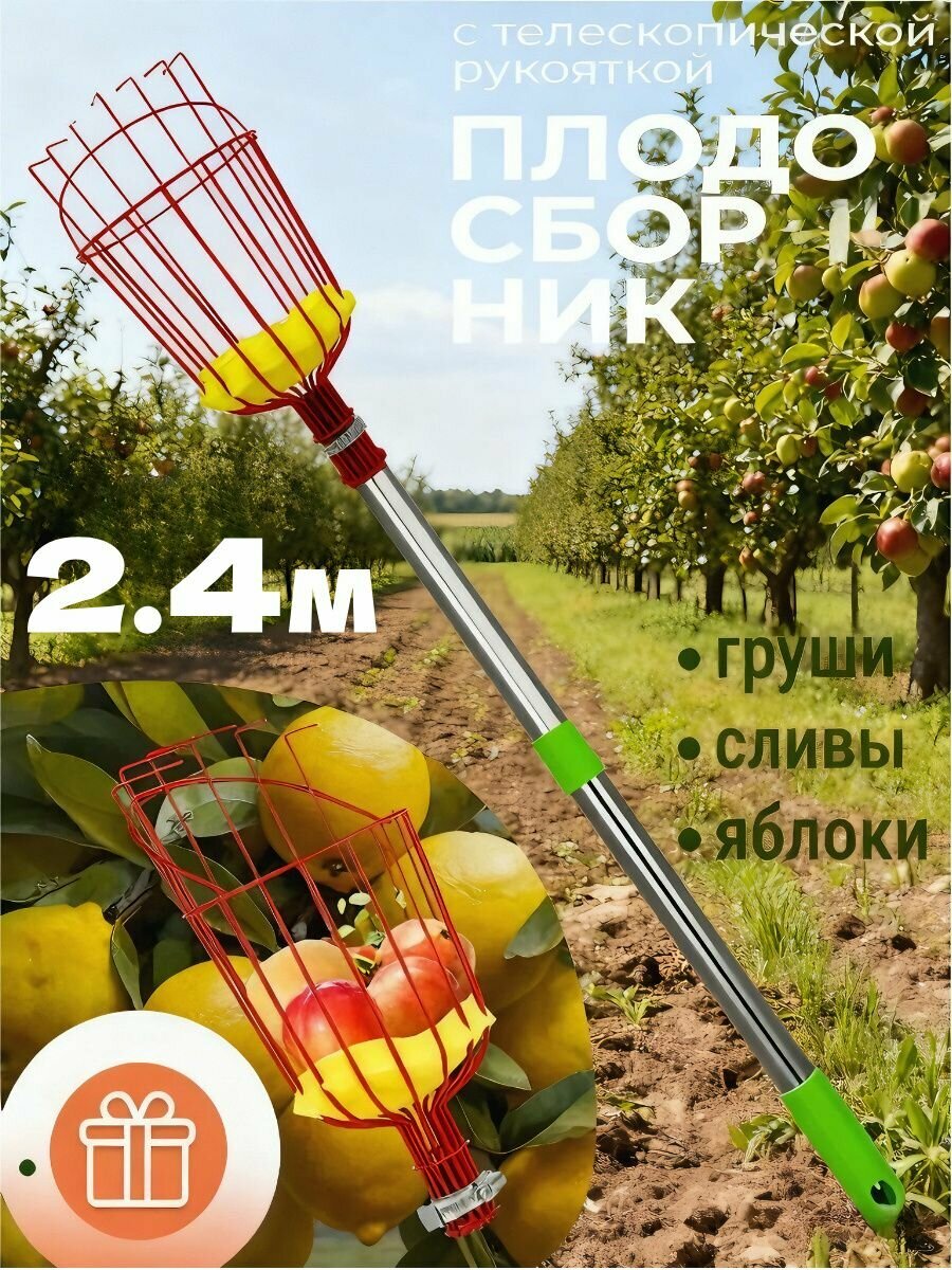 Плодосборник для фруктов с телескопической ручкой, Плодосборник с телескопической ручкой, длина до 2.4 метров