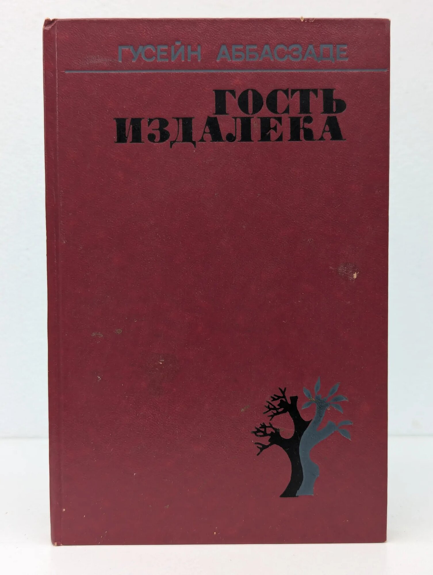 Гость издалека Аббасзаде Гусейн 1978