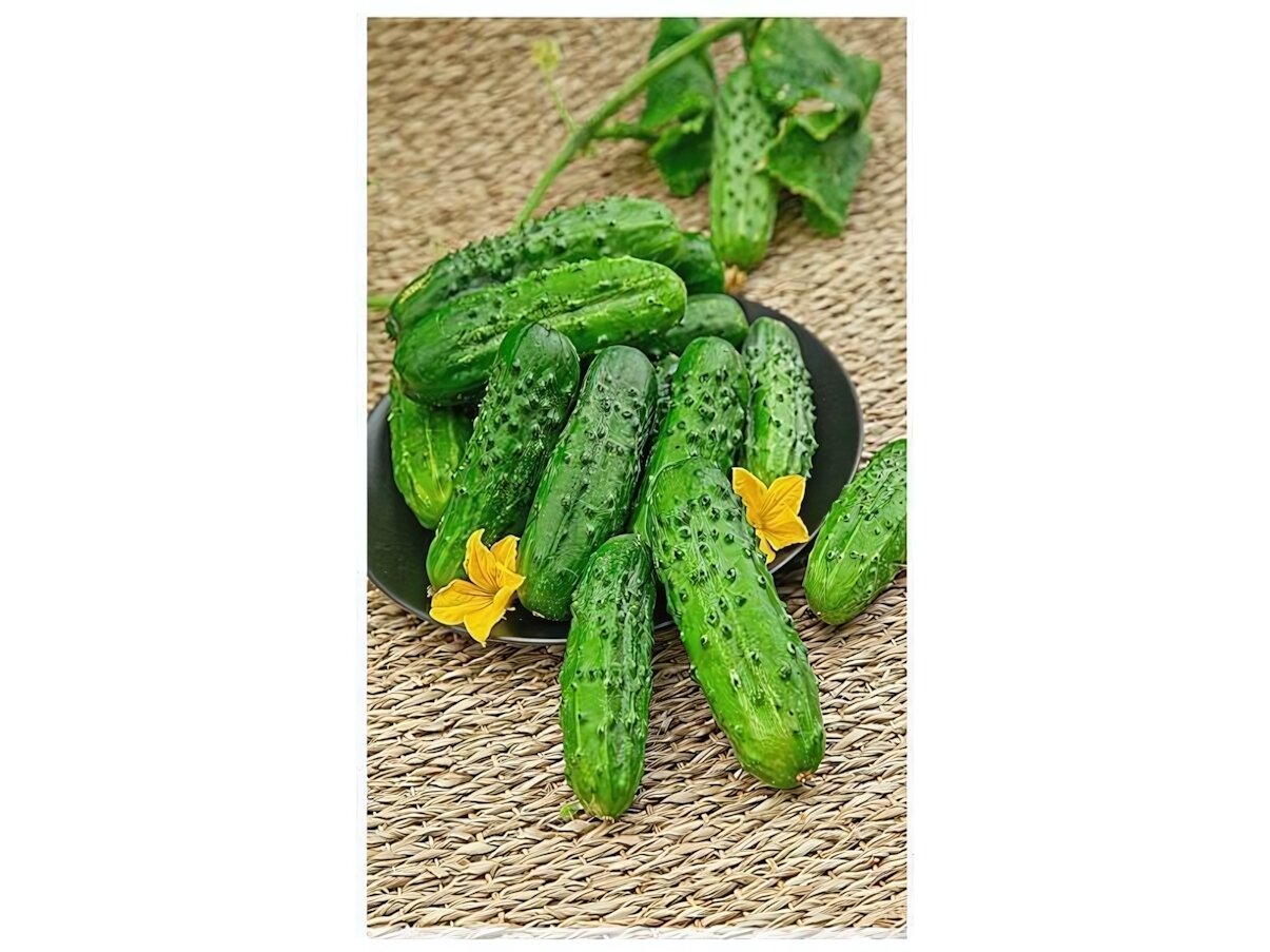Огурец бочковой F1 DeLuxe раннеспелый, 0,25г, 10 семян, для дачи