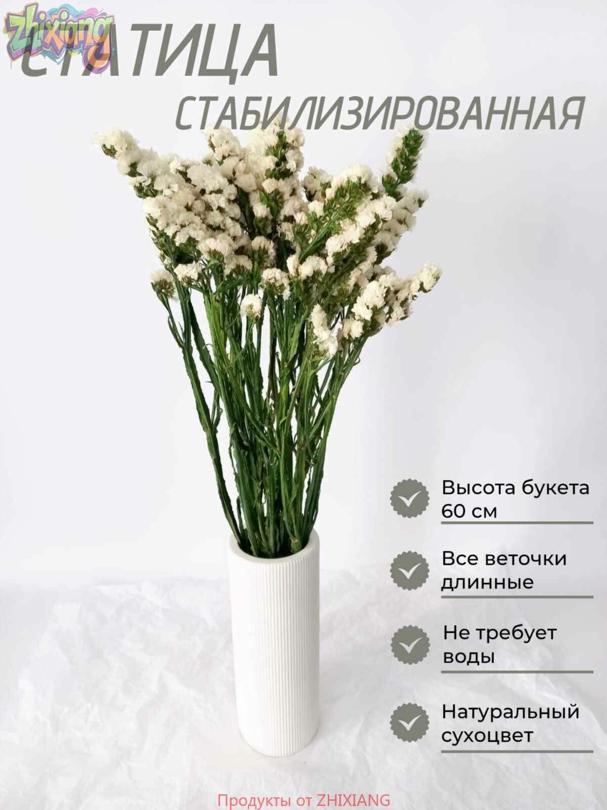 Статица стабилизированная для декора, сухоцвет