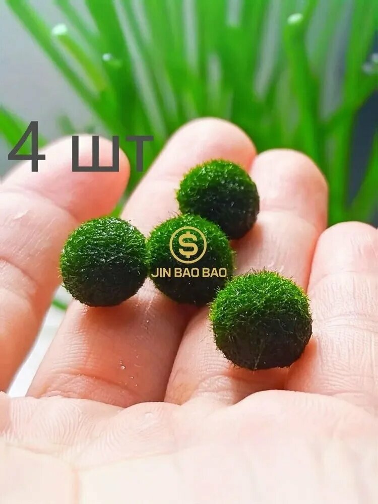 Милые шарики маримо, 4 шт.