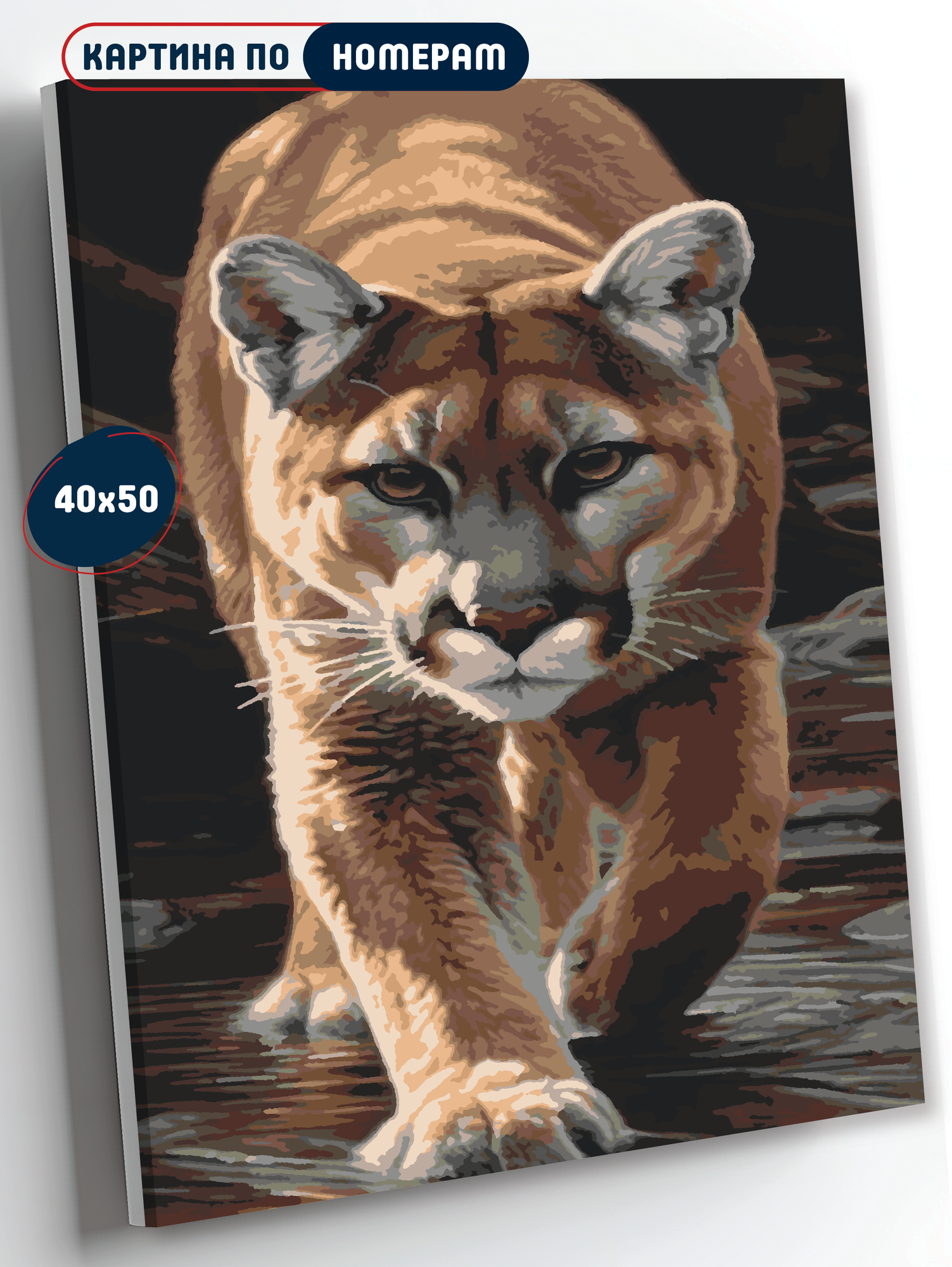 Картина по номерам "Пума", Холст на подрамнике 40х50, набор для рисования