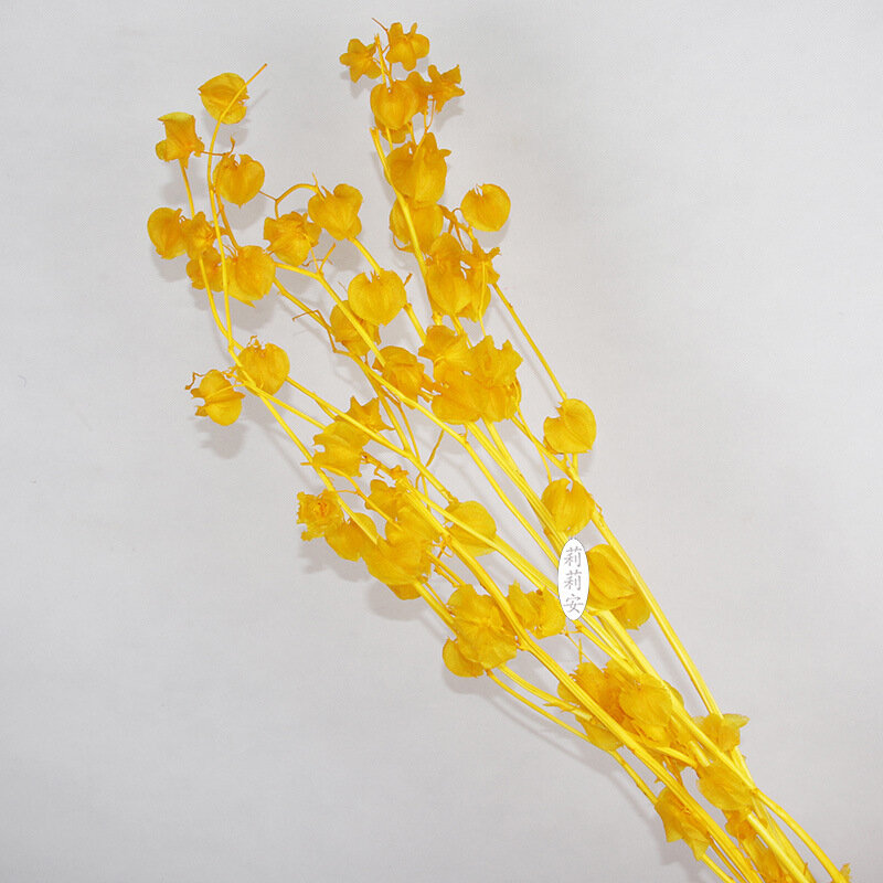 Вечный ветровой колокольчик, фонарь из сухофруктов, свадебное украшение, домашняя цветочная композиция, кислая ягода, настоящий цветок для оконного декора