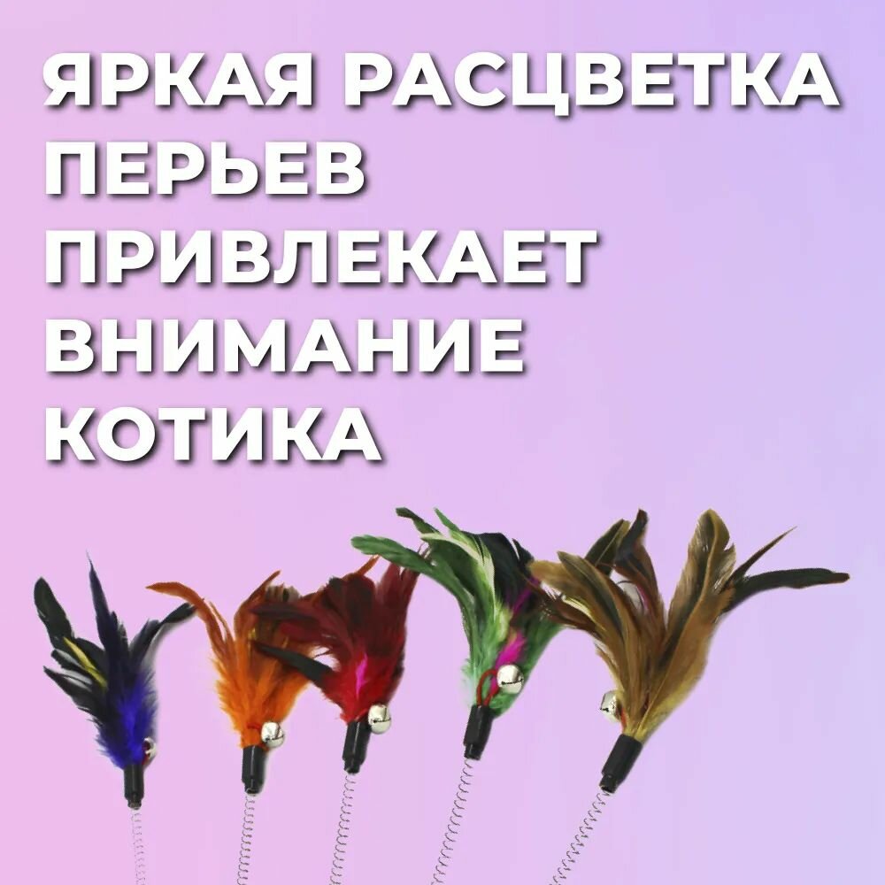 Игрушка для кошек "Дразнилка", интерактивная, для здоровья зубов, с пером и колокольчиком