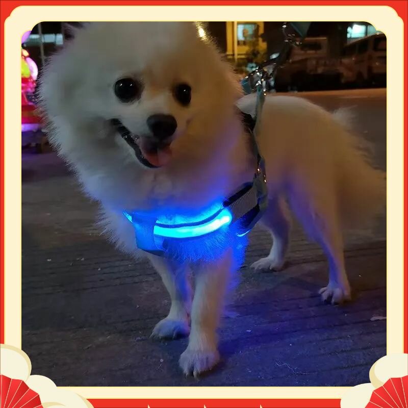 Шлейка для маленьких и средних собак, нейлон, регулируемая, светящаяся