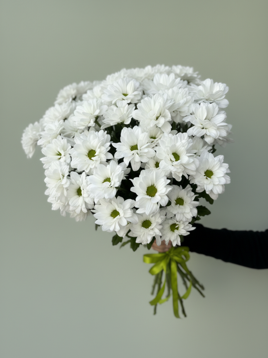 Букет из 9 кустовых хризантем под ленту, монобукет, 50 см | Турбофлора