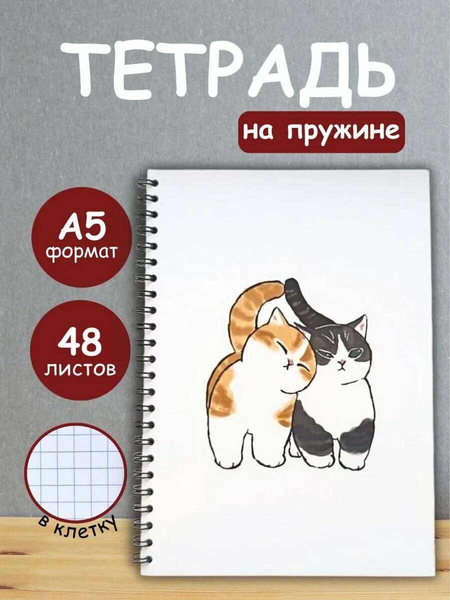 Тетрадь в клетку 48 листов на пружине , блокнот А5 Милые котики