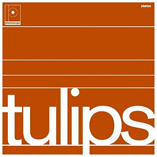 Виниловая пластинка Maston - Tulips (1 LP)