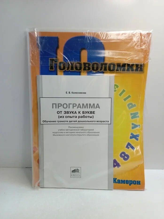 Головоломки IQ. Фантастическая коллекция из 500 задач для развития умственных способностей + Программа от звука к букве
