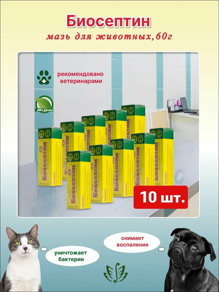 Мазь Биосептин НПФ "Исследовательский центр", для кожи, против воспалений, 60 г