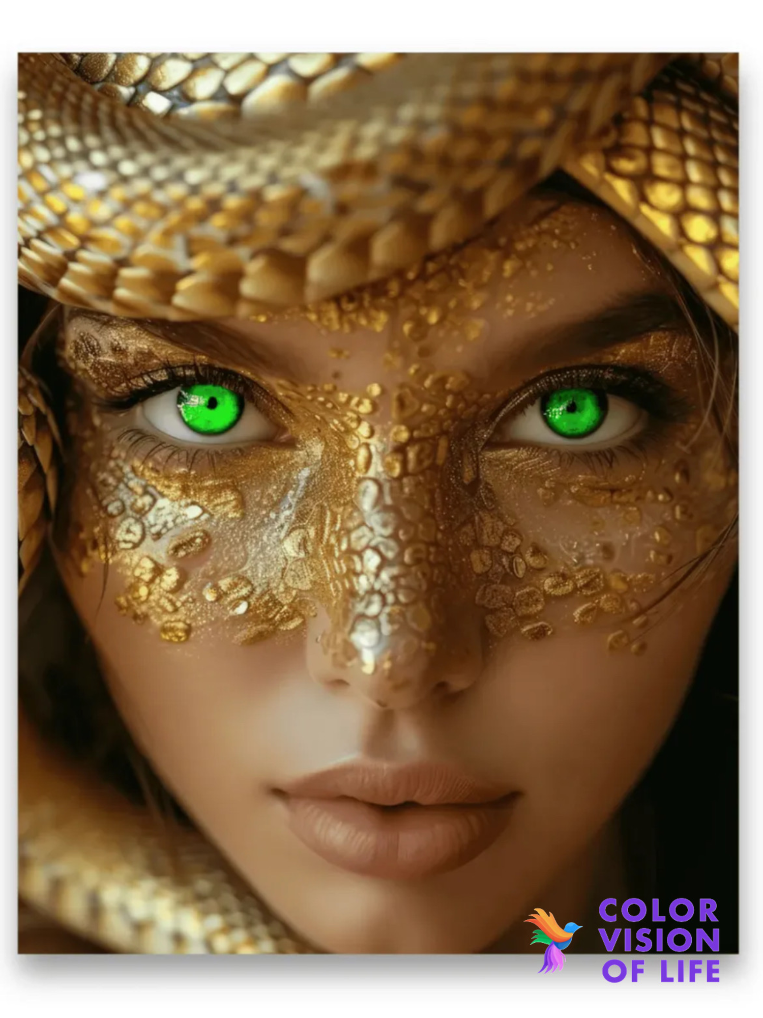 Алмазная мозаика на подрамнике 40х50/Год змеи