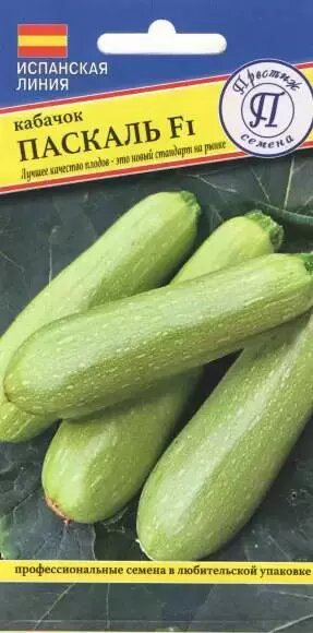 Кабачок Паскаль F1