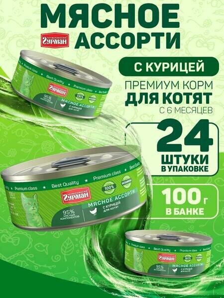 Четвероногий гурман 24 шт по 100 г влажный корм для котят мясное ассорти с курицей