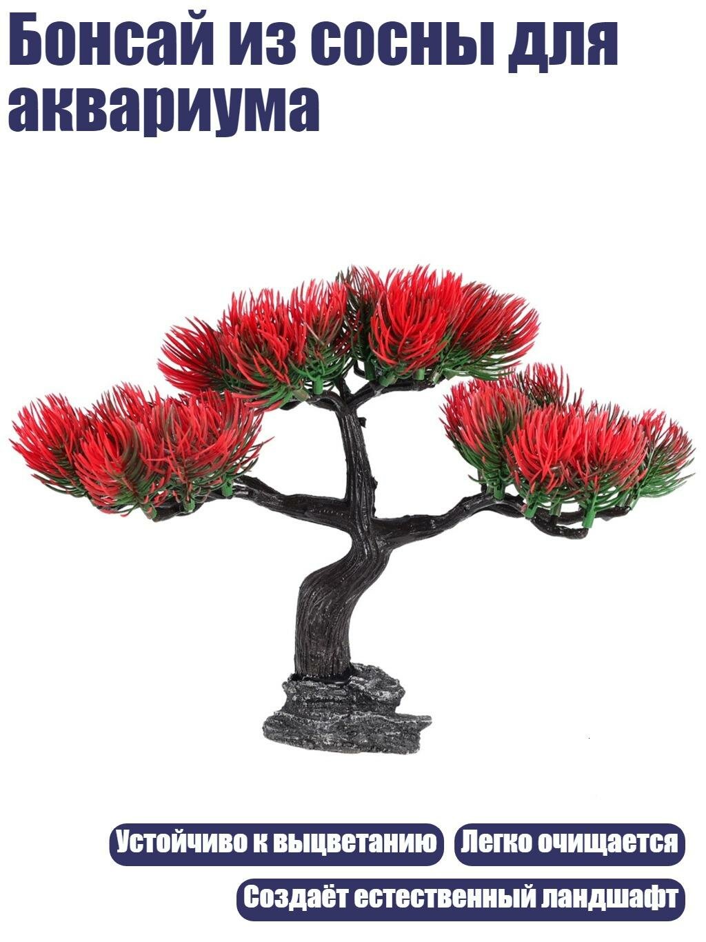 Бонсай из сосны для аквариума, красавица сосна красная