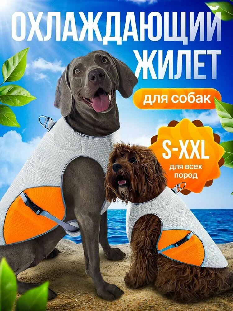 Охлаждающий жилет для собак, оранжевый, размер M