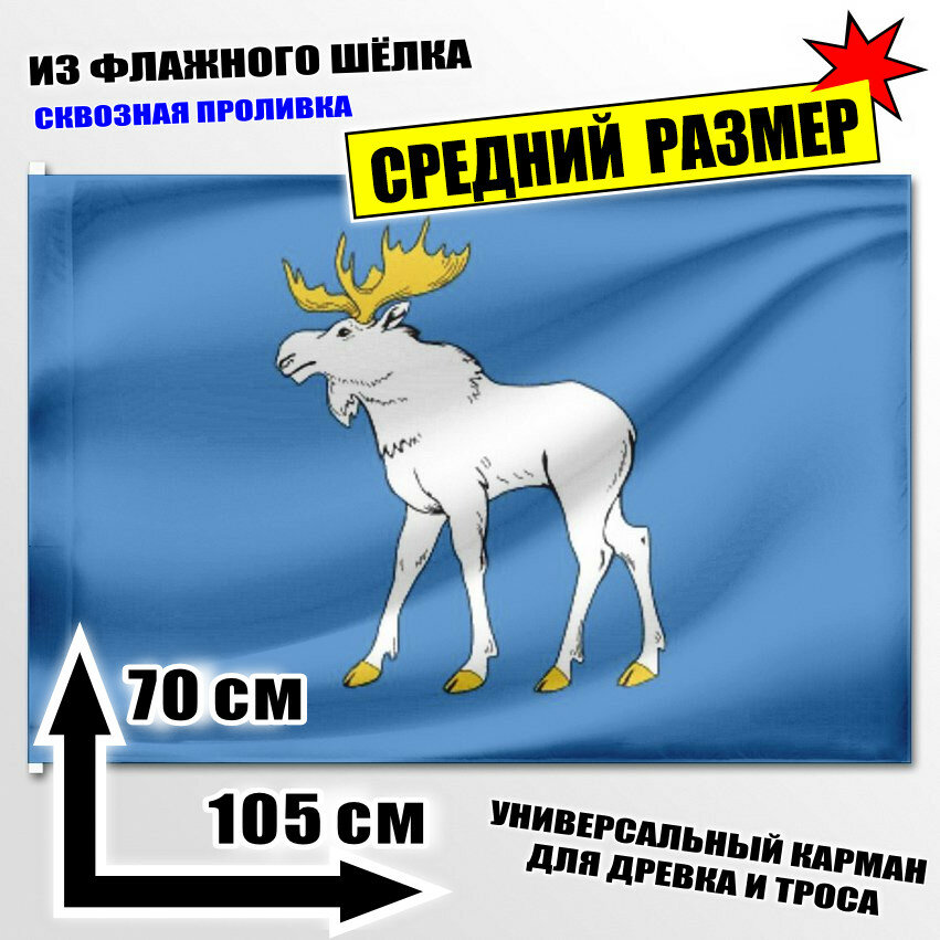 Флаг средний Йошкар-Олы 105x70 см