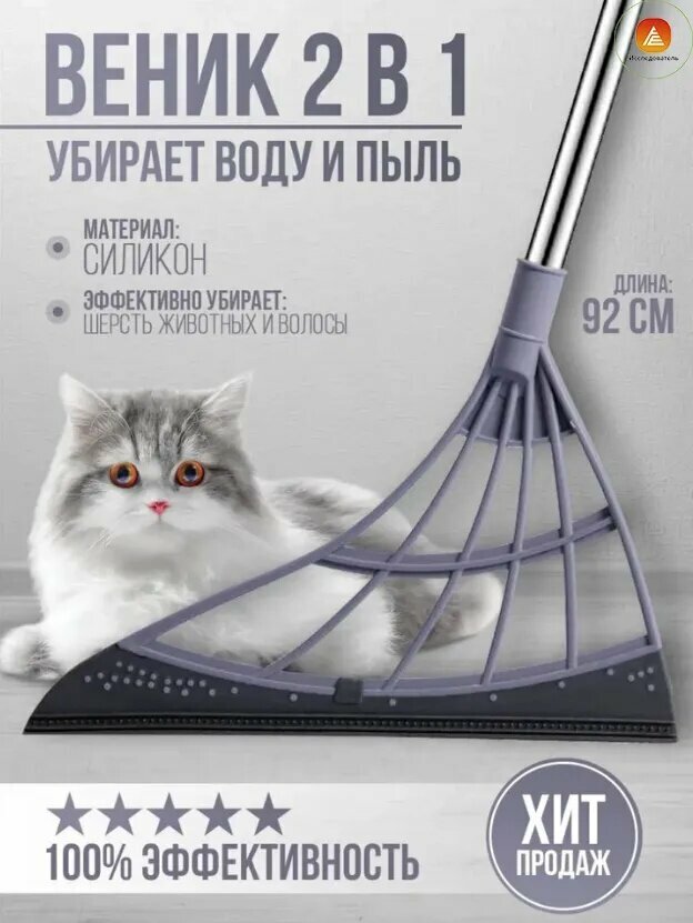 Метла