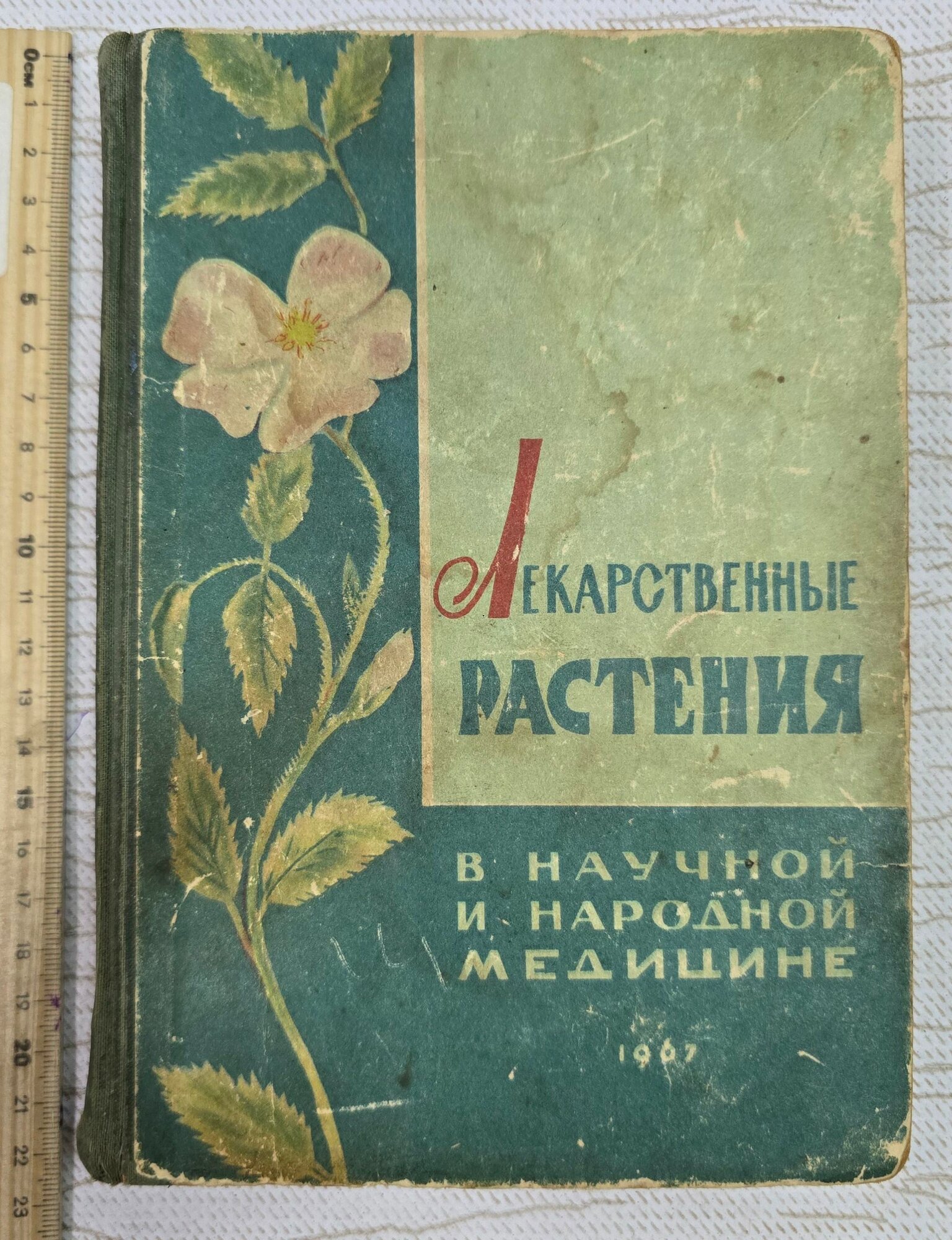 Лекарственные растения в научной и народной медицине