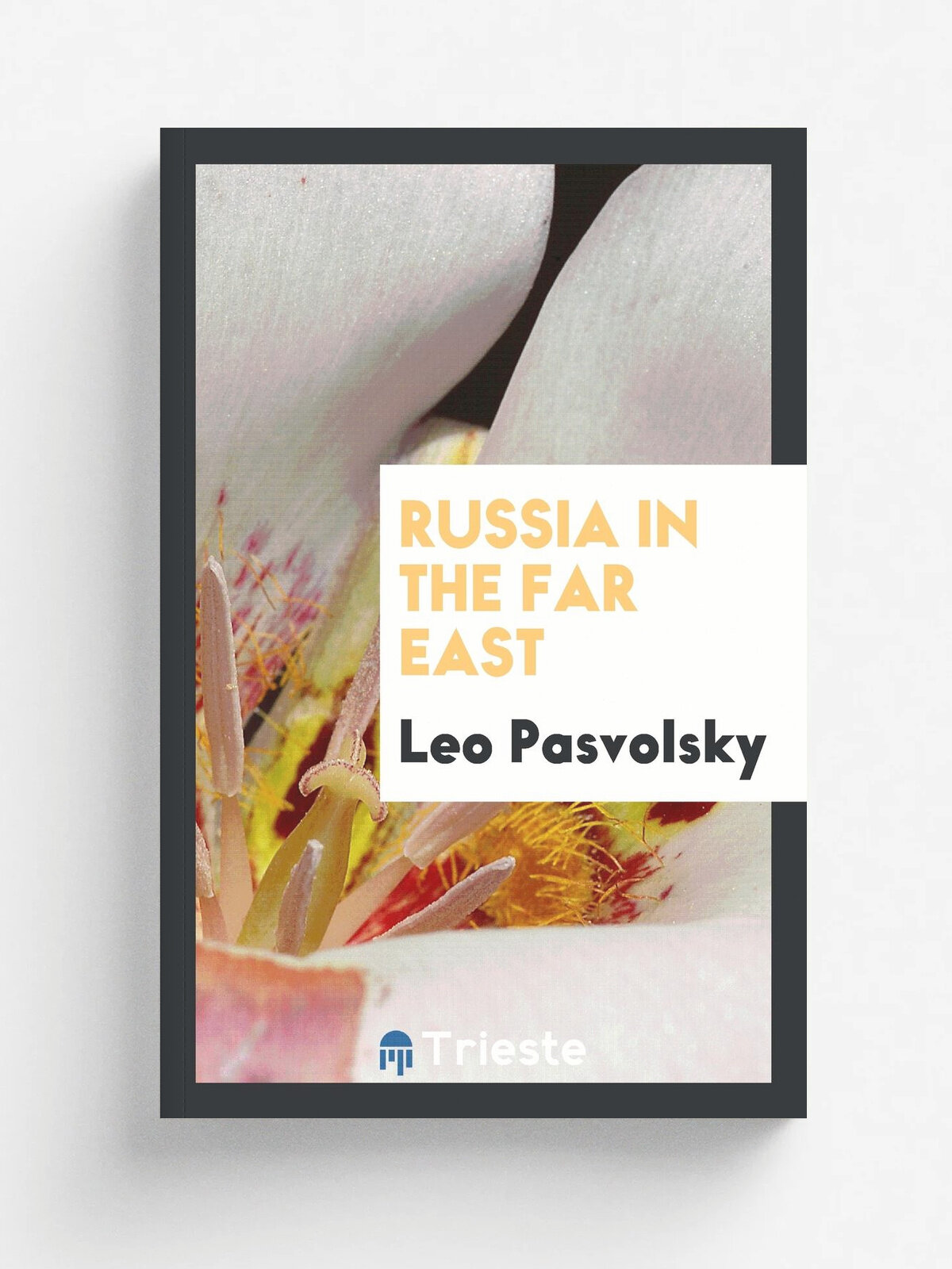 Russia in the Far East
