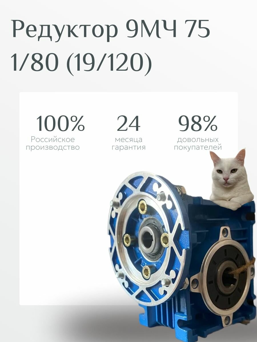 Редуктор червячный 9МЧ 75 1/80 (19/120)
